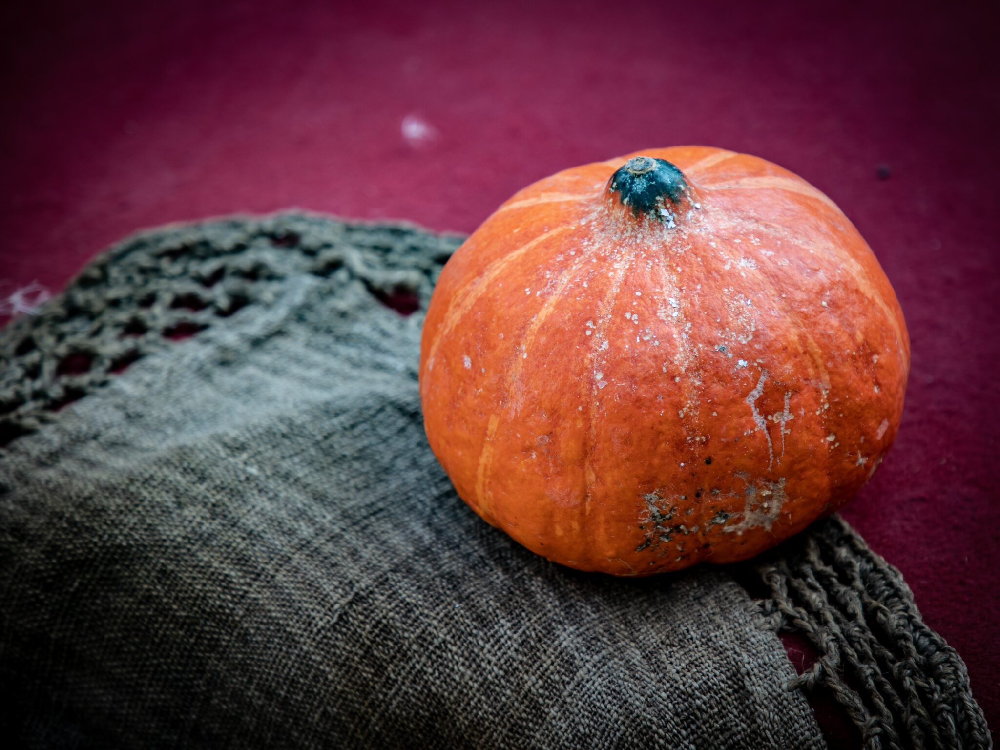 27 Great Fall organizing tips to prepare for new season! - Bellflower ...