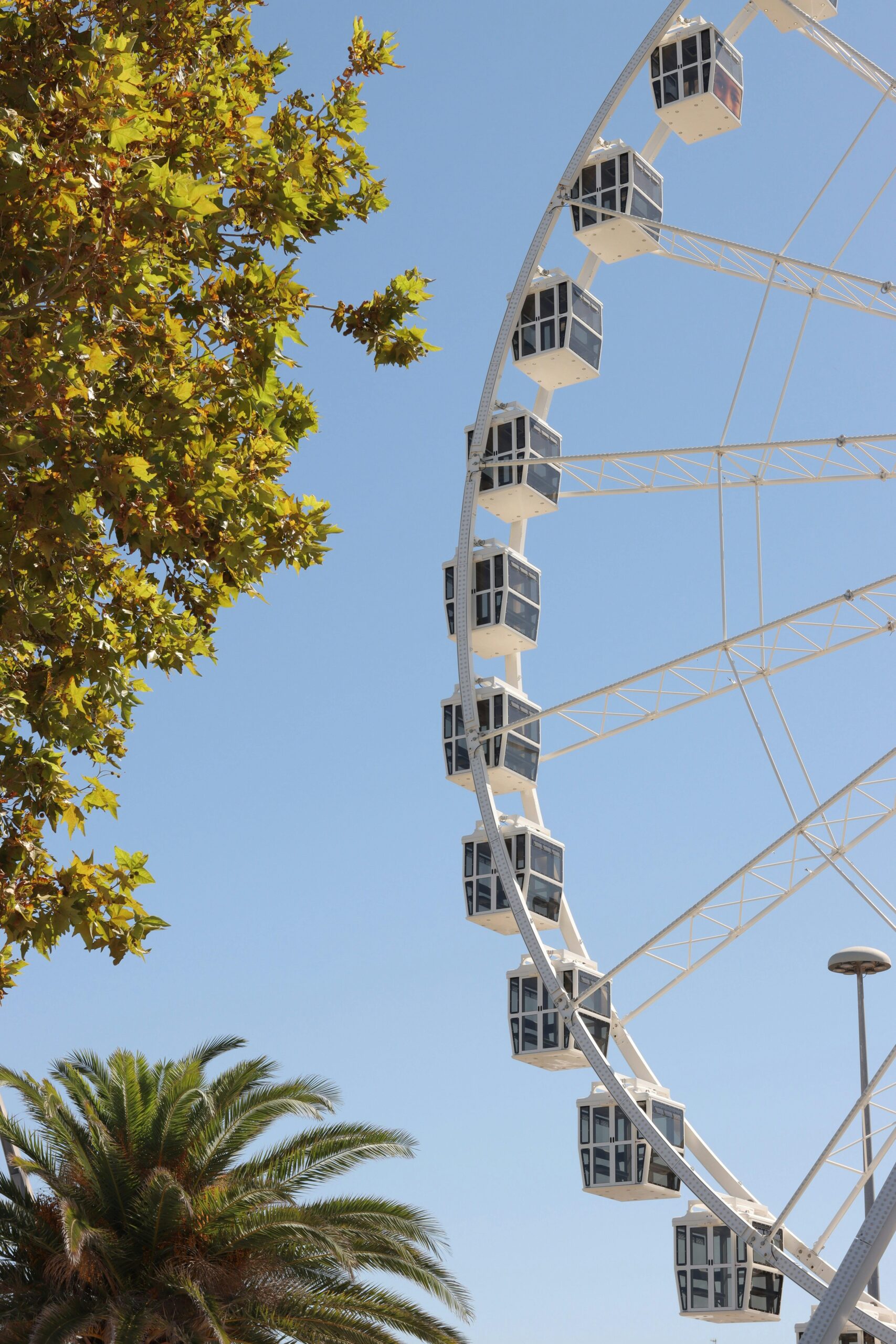 19 Fun and Wholesome Things to do in August - Bellflower Lifestyle